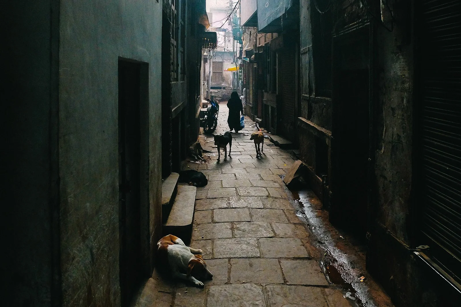 On the Streets of Varanasi — Geraint Rowland Photography