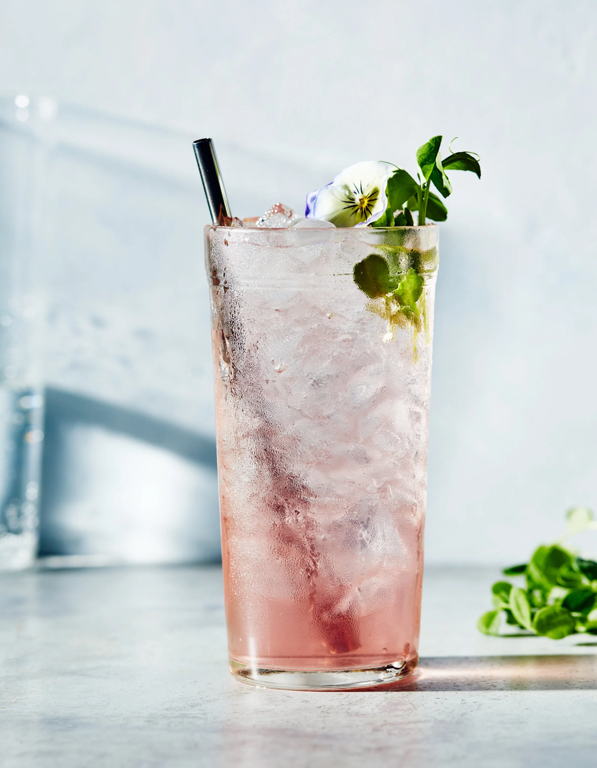 Zero Proof Cocktails by Elva Ramirez, 90 Mindful Recipes, Mocktails and More — ELVA RAMIREZ