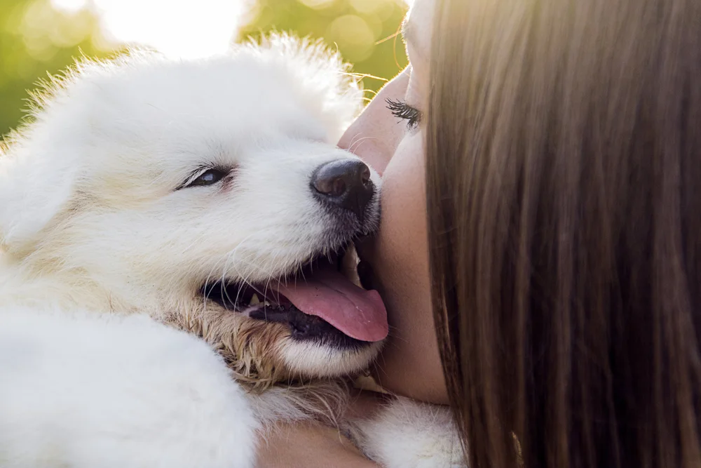 Adolescent DBT Program — Lilac Center