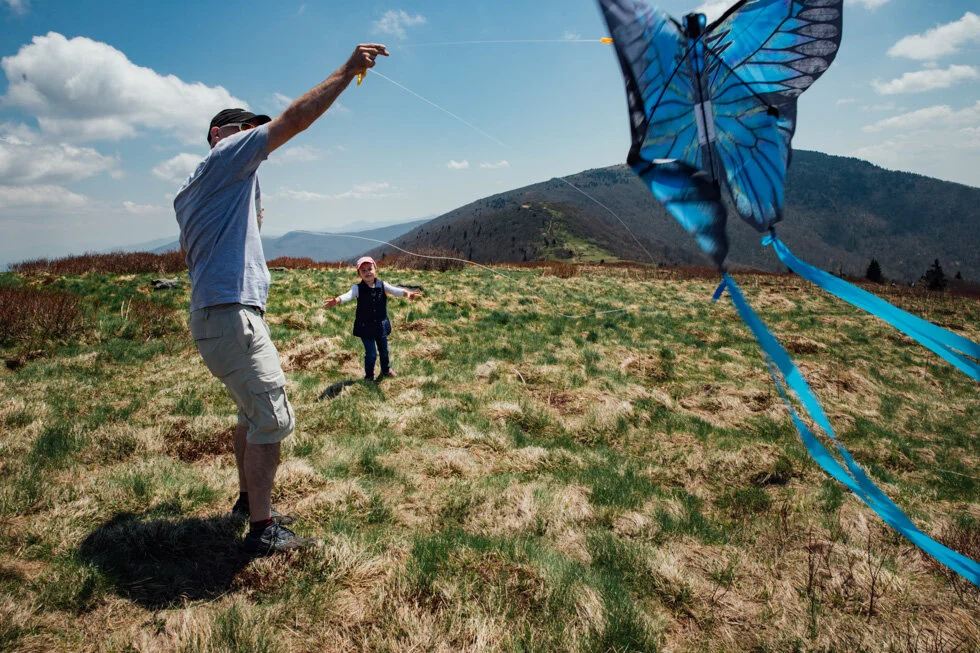 Details — laura beth davidson