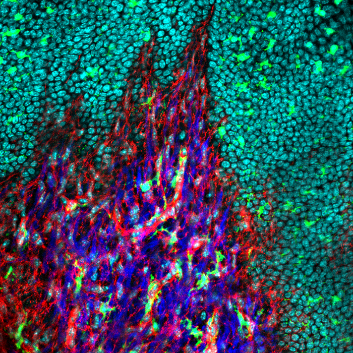 Gallery — Mesa Laboratory