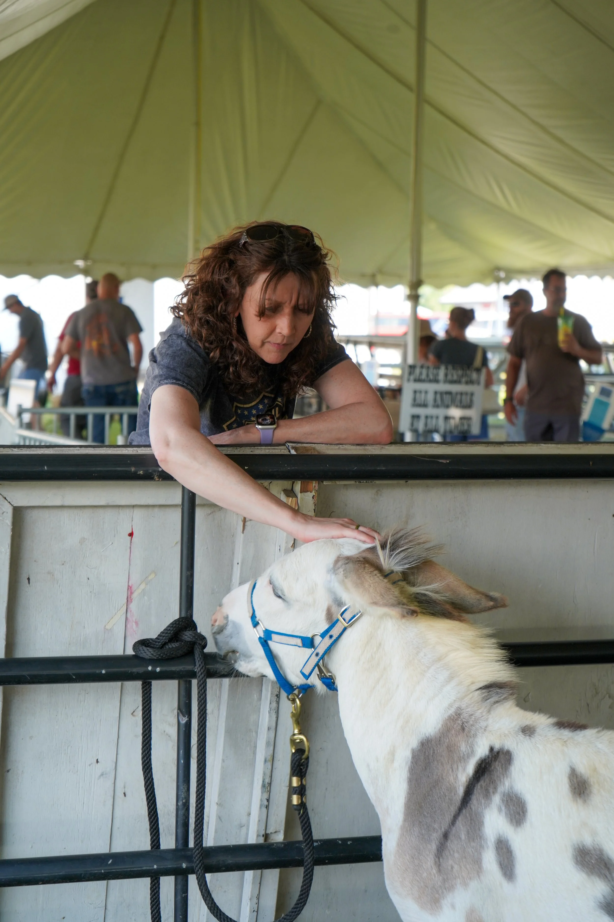 Franklin County Fair
