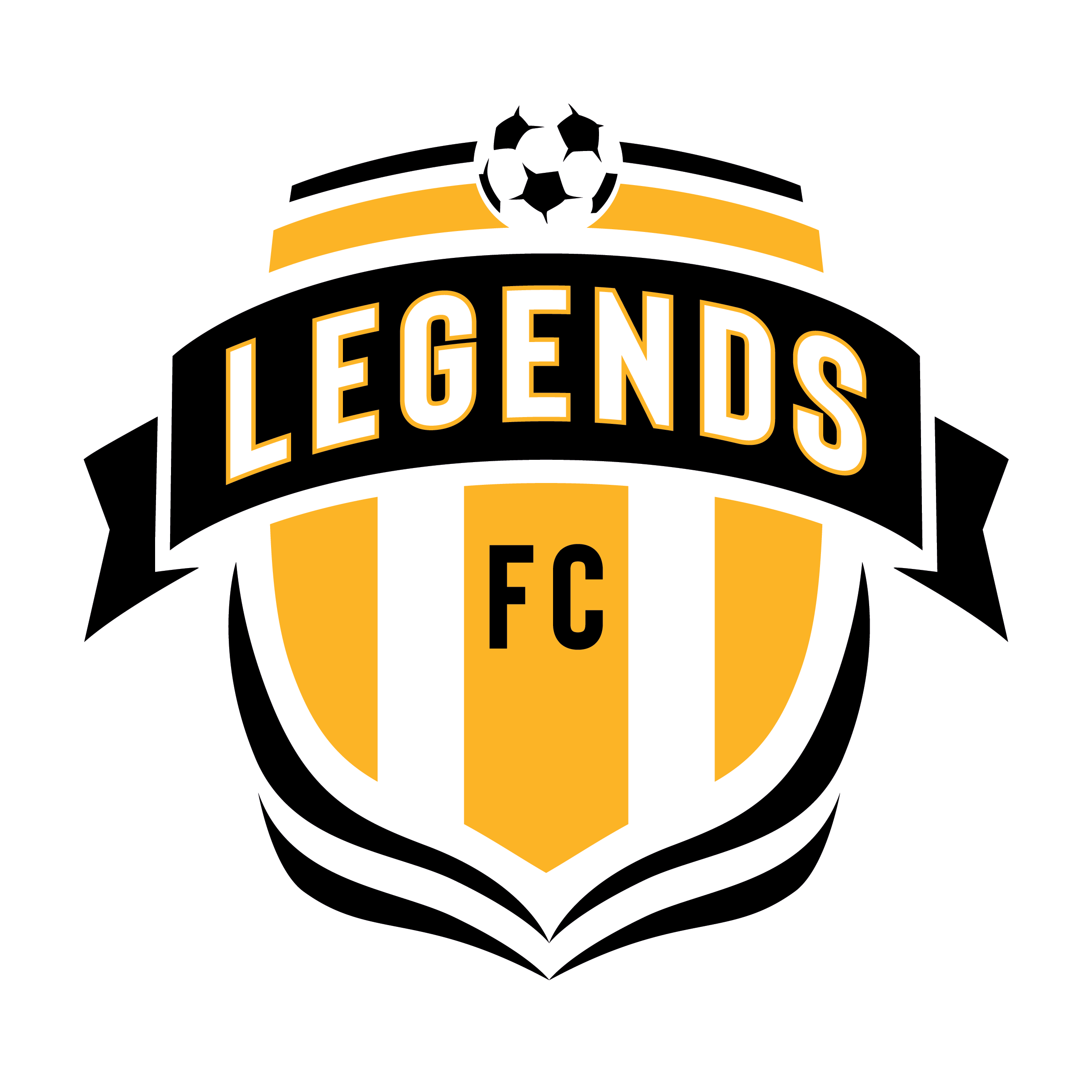 Who We Are — Legends FC