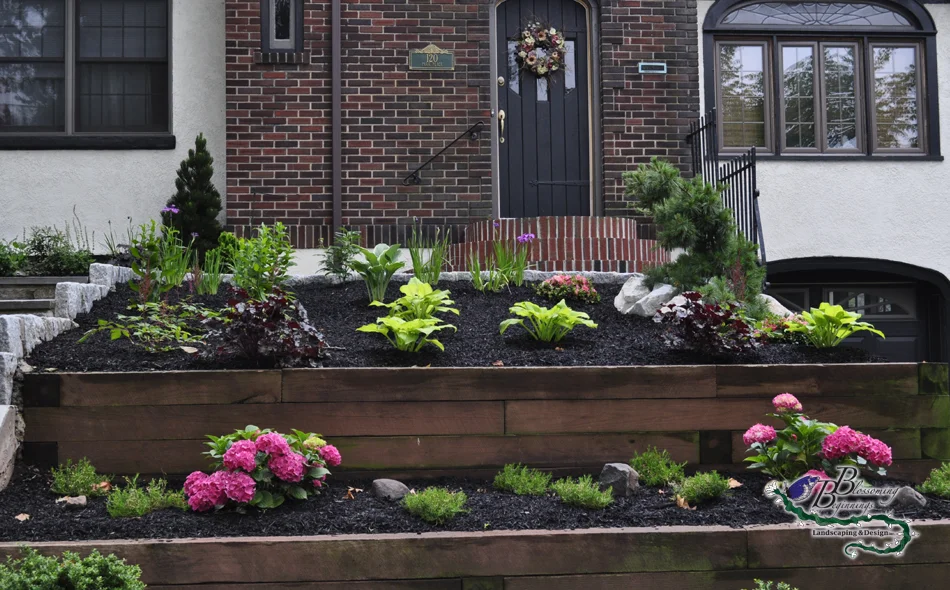 Landscape Design — Blossoming Beginnings