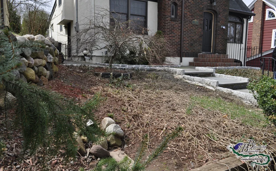 Landscape Design — Blossoming Beginnings