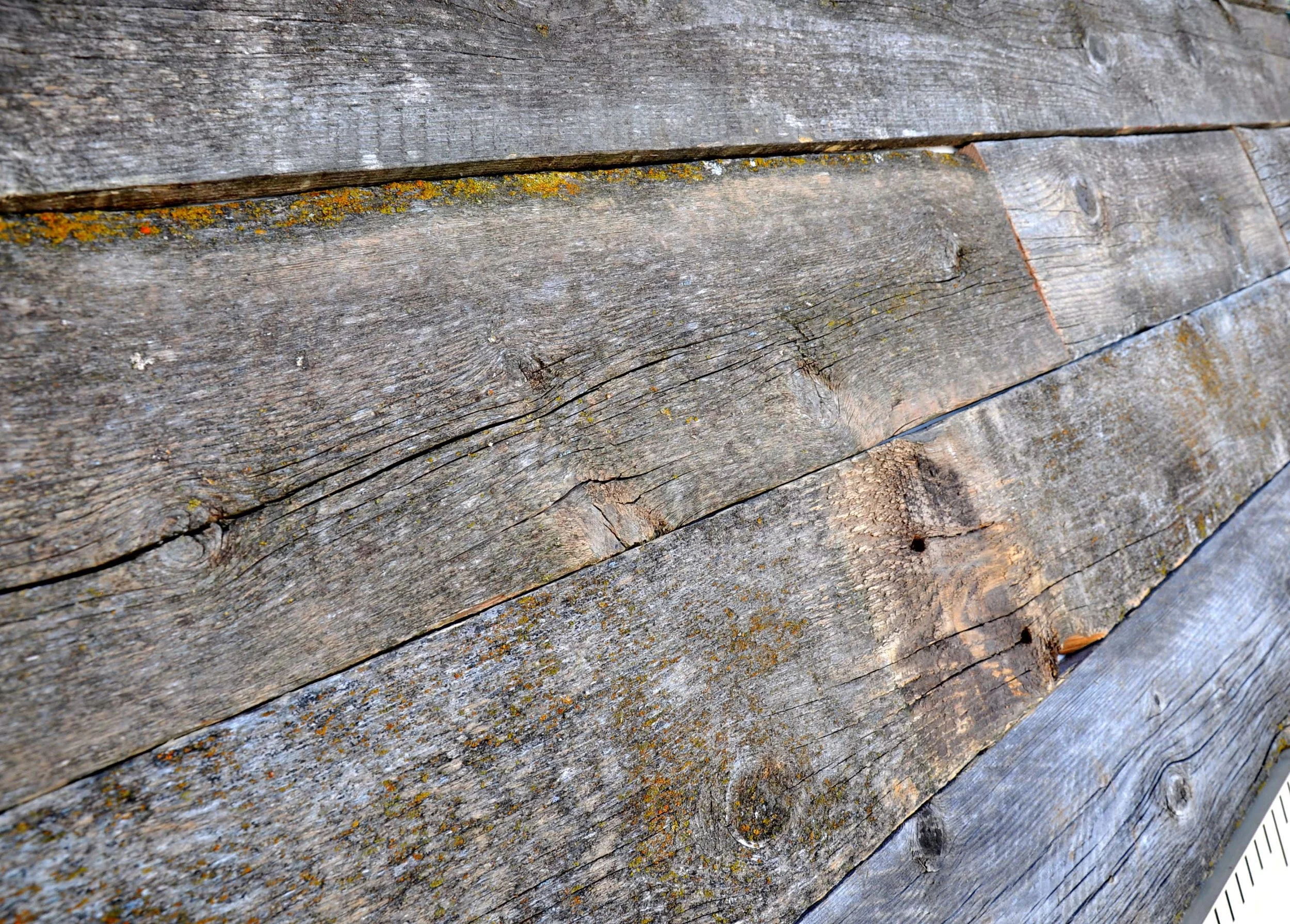 Corral Board Lumber — AntiQuus Wood