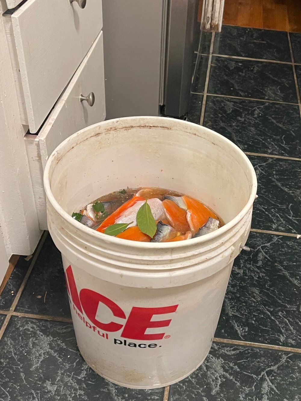 Canned Smoked Kokanee Recipe — Bobber Down Guide Service