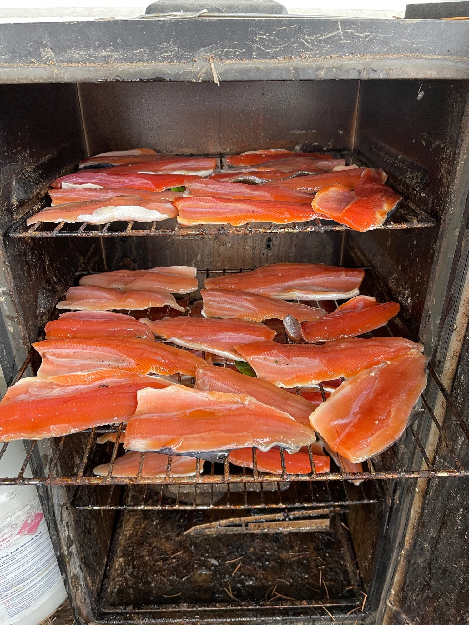 Canned Smoked Kokanee Recipe — Bobber Down Guide Service