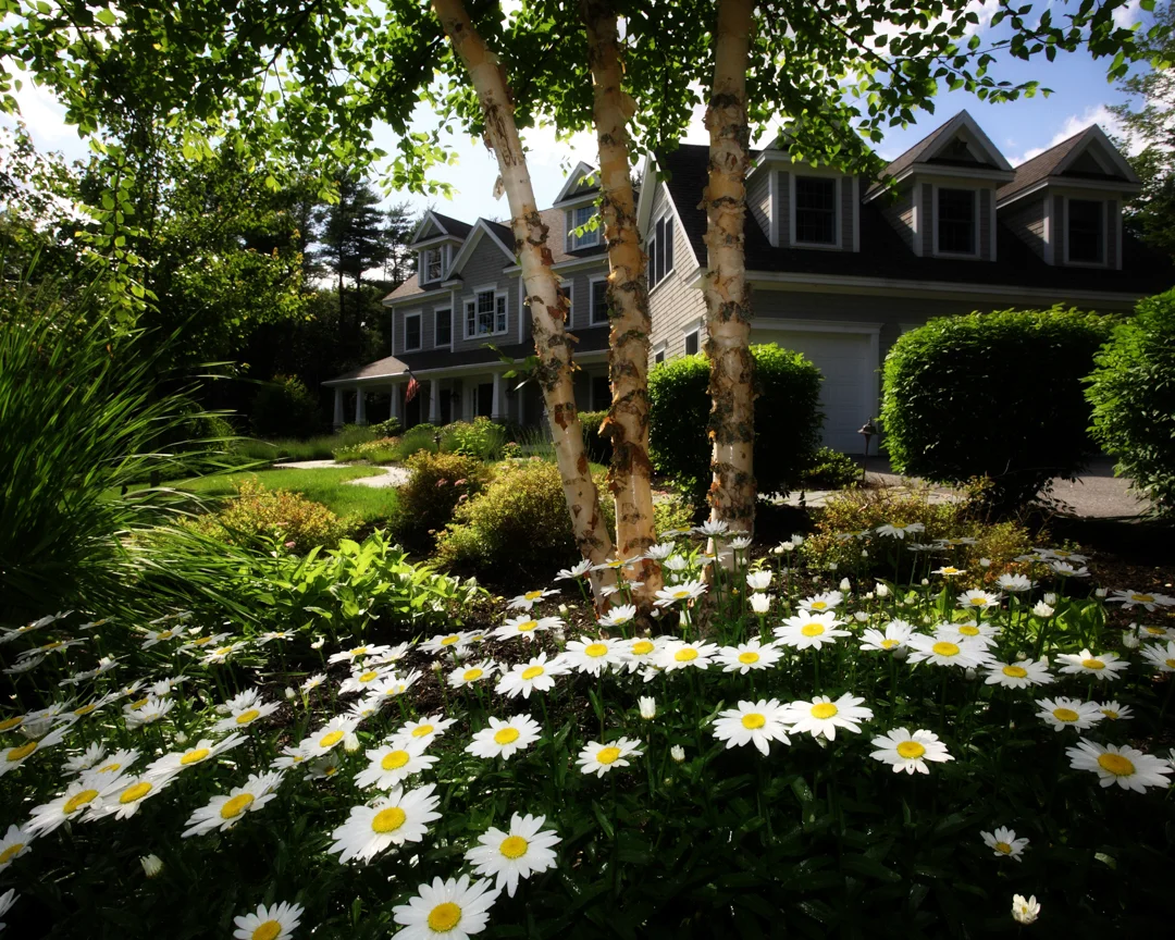 5 Easy Landscape Ideas to Tackle | West Domestic