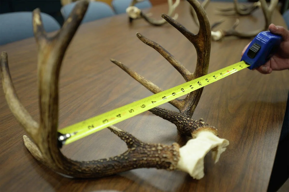 How to Score Whitetail Deer and Mule Deer: A Hunter's Guide — Non ...