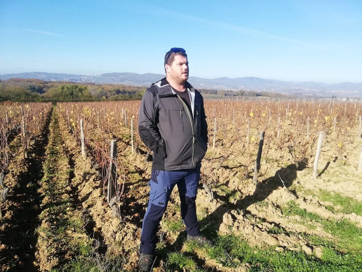 Domaine Saint-Cyr — Kellogg Selections