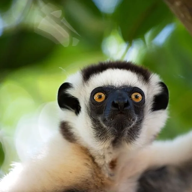 Robin Aiello — Wild Earth Expeditions