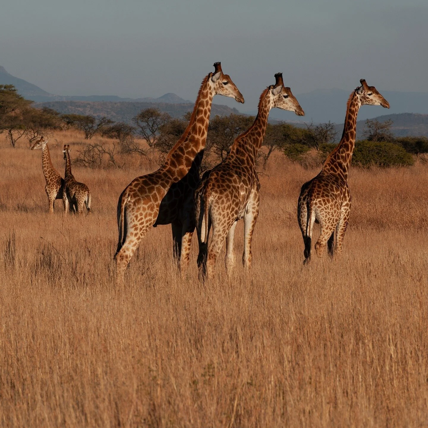 Testimonials — Wild Earth Expeditions