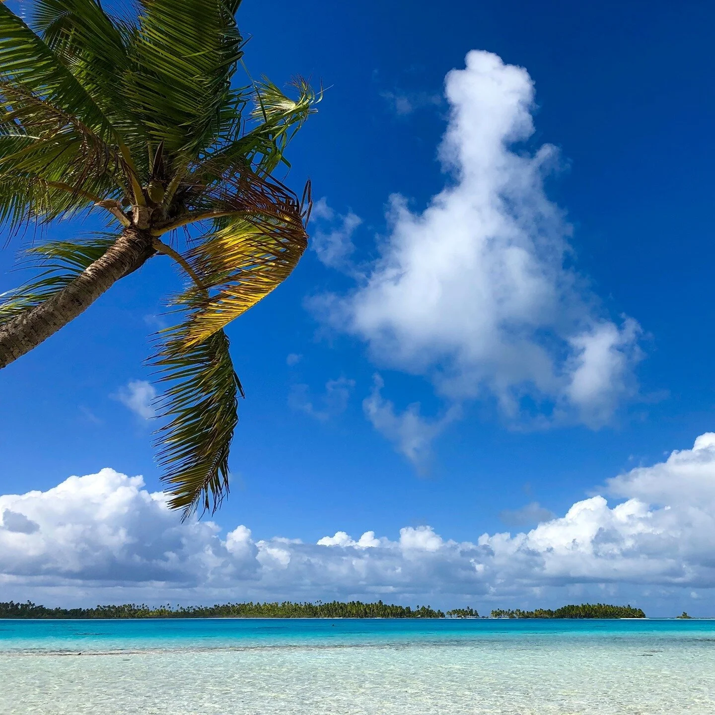 Dr Dean Miller — Wild Earth Expeditions