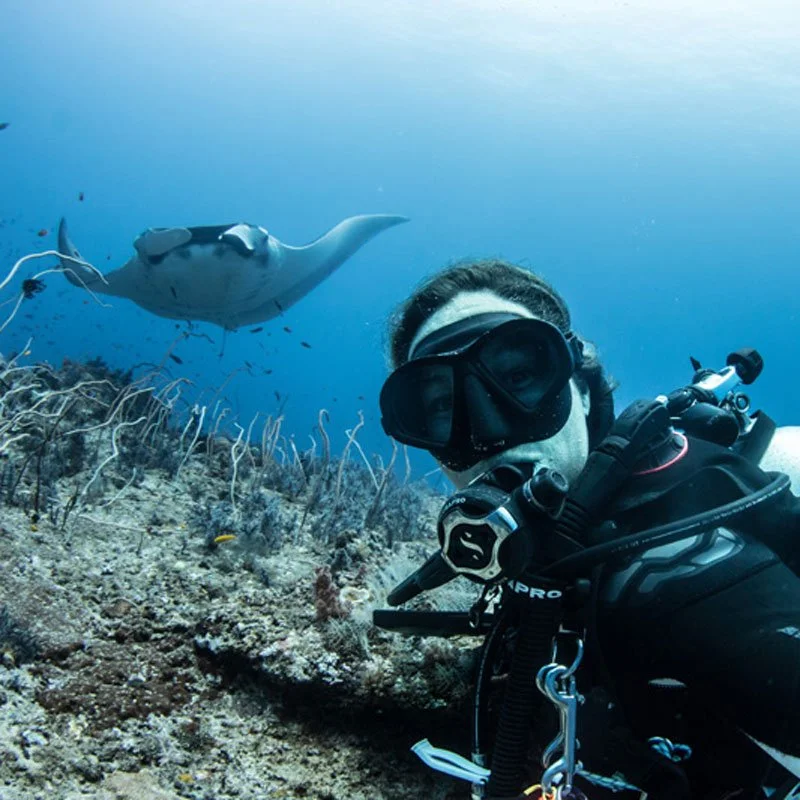 Wild Encounters: MANTA RAYS — Wild Earth Expeditions