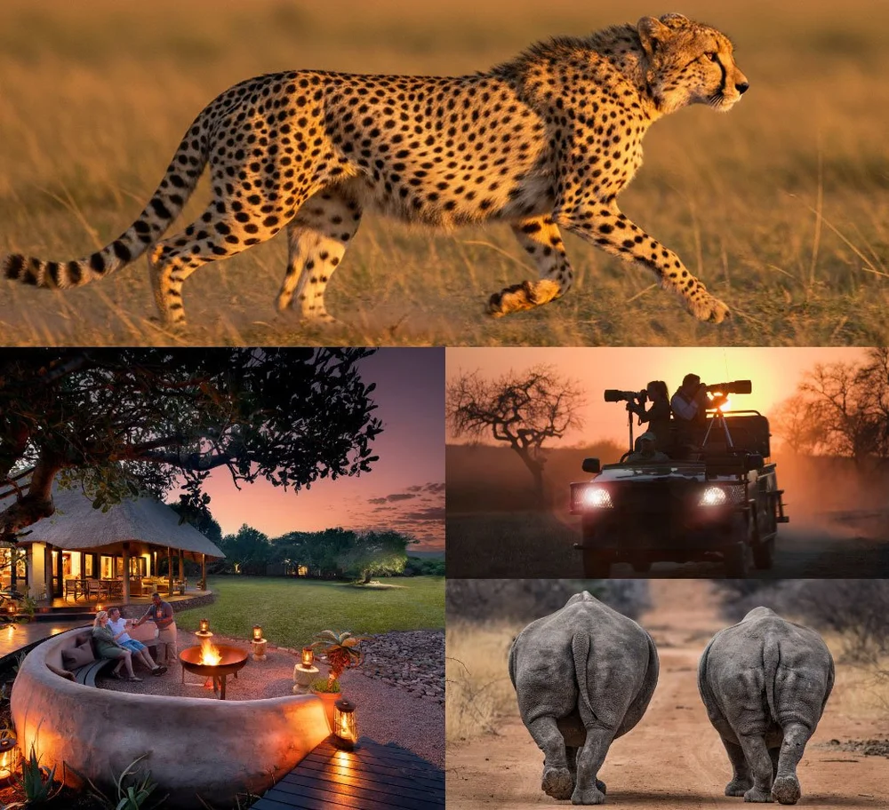 Wild Earth Expeditions