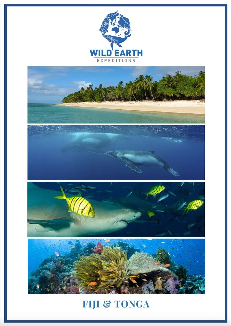 2024 Fiji & Tonga — Wild Earth Expeditions