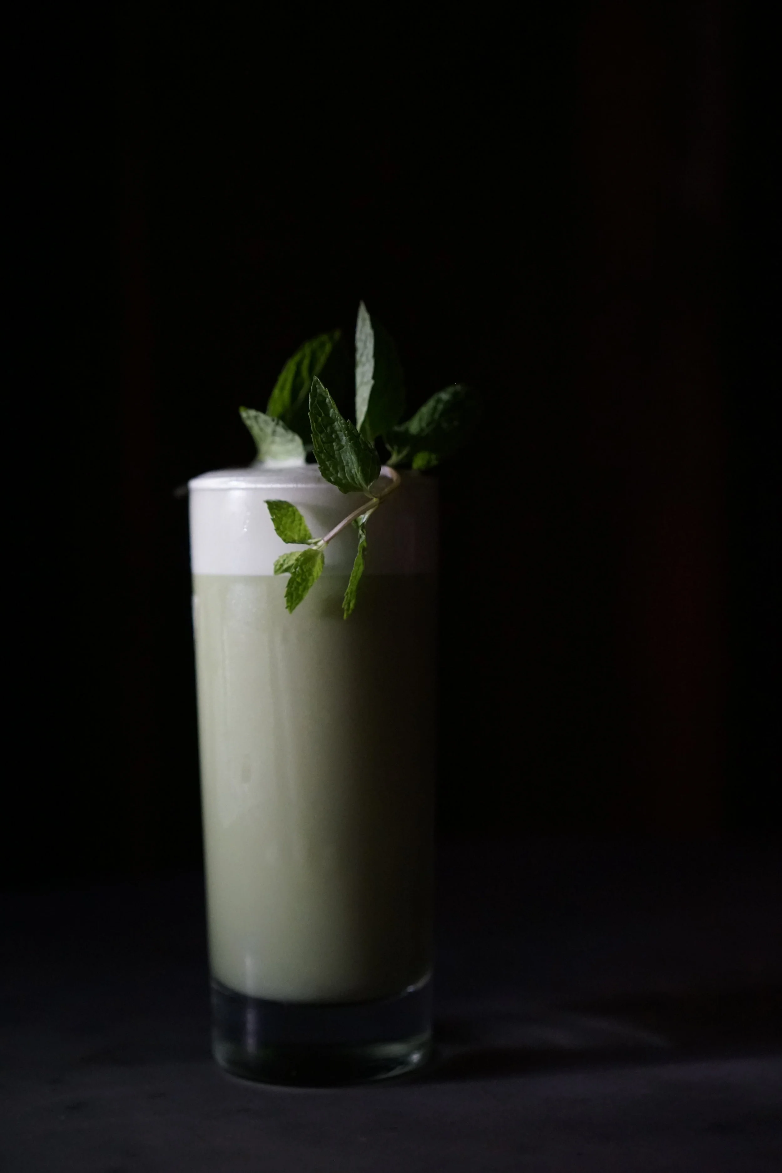 Cocktails — Danielle Bernabe