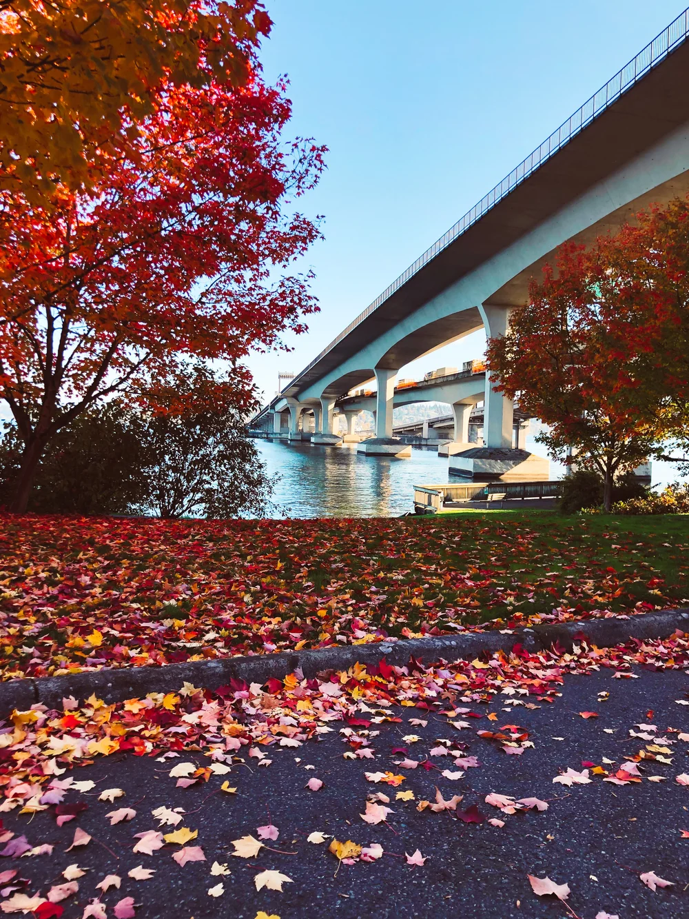 My 2019 Seattle Fall Bucket List — Costume Parade