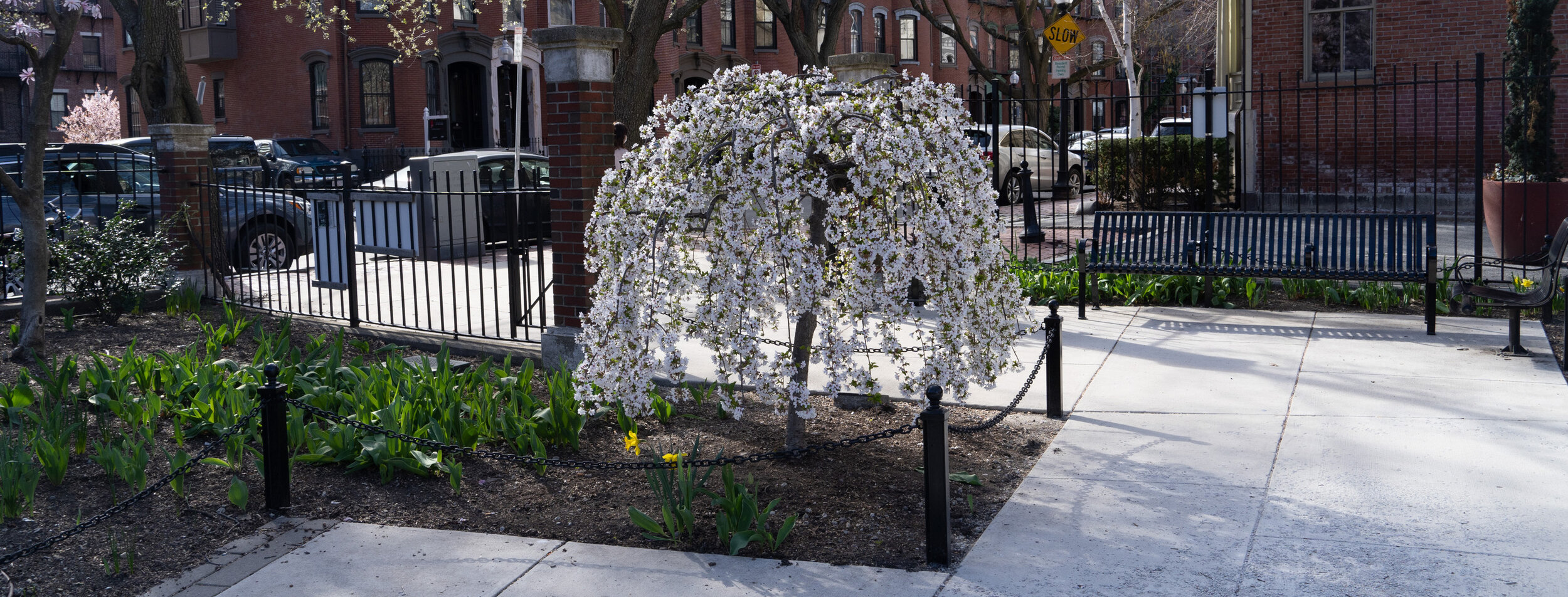 FOSEL: Friends of the South End Library