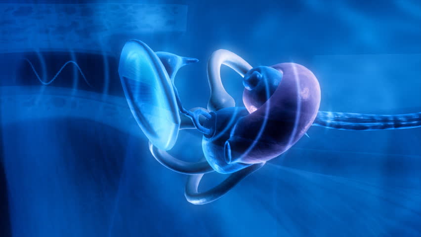 Recording Electrical Responses to Improve the Diagnosis of Hearing ...