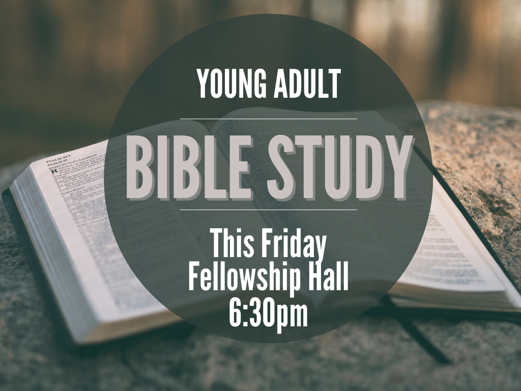 Young Adult Bible Study I Estudio Bíblico para Jóvenes Adultos ...