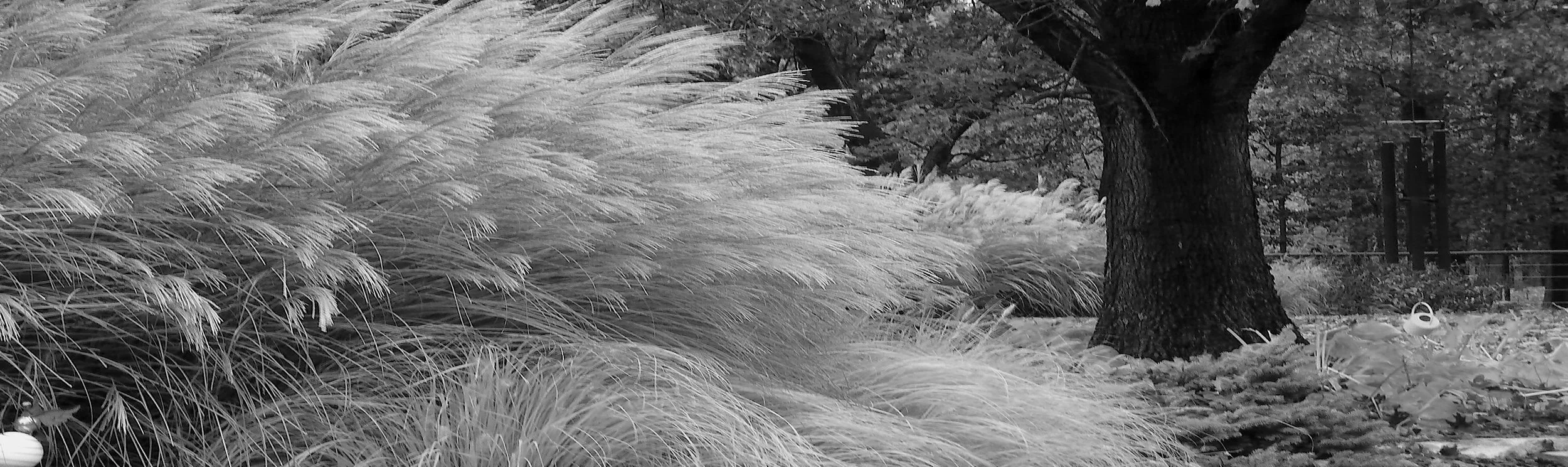 Future Design Elements Premier Garden Design future-design-elements-premier-garden-design