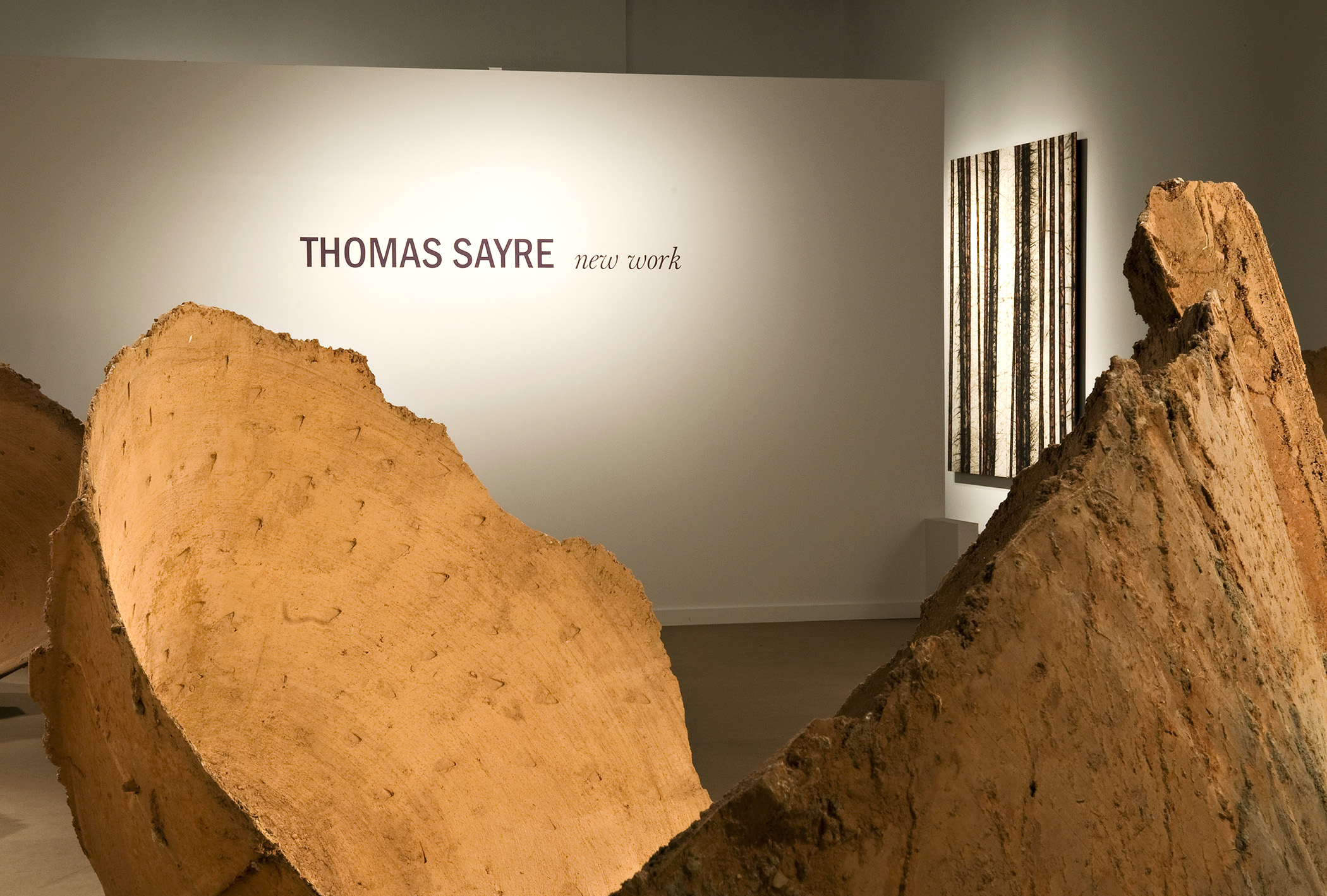 New Work — Thomas Sayre