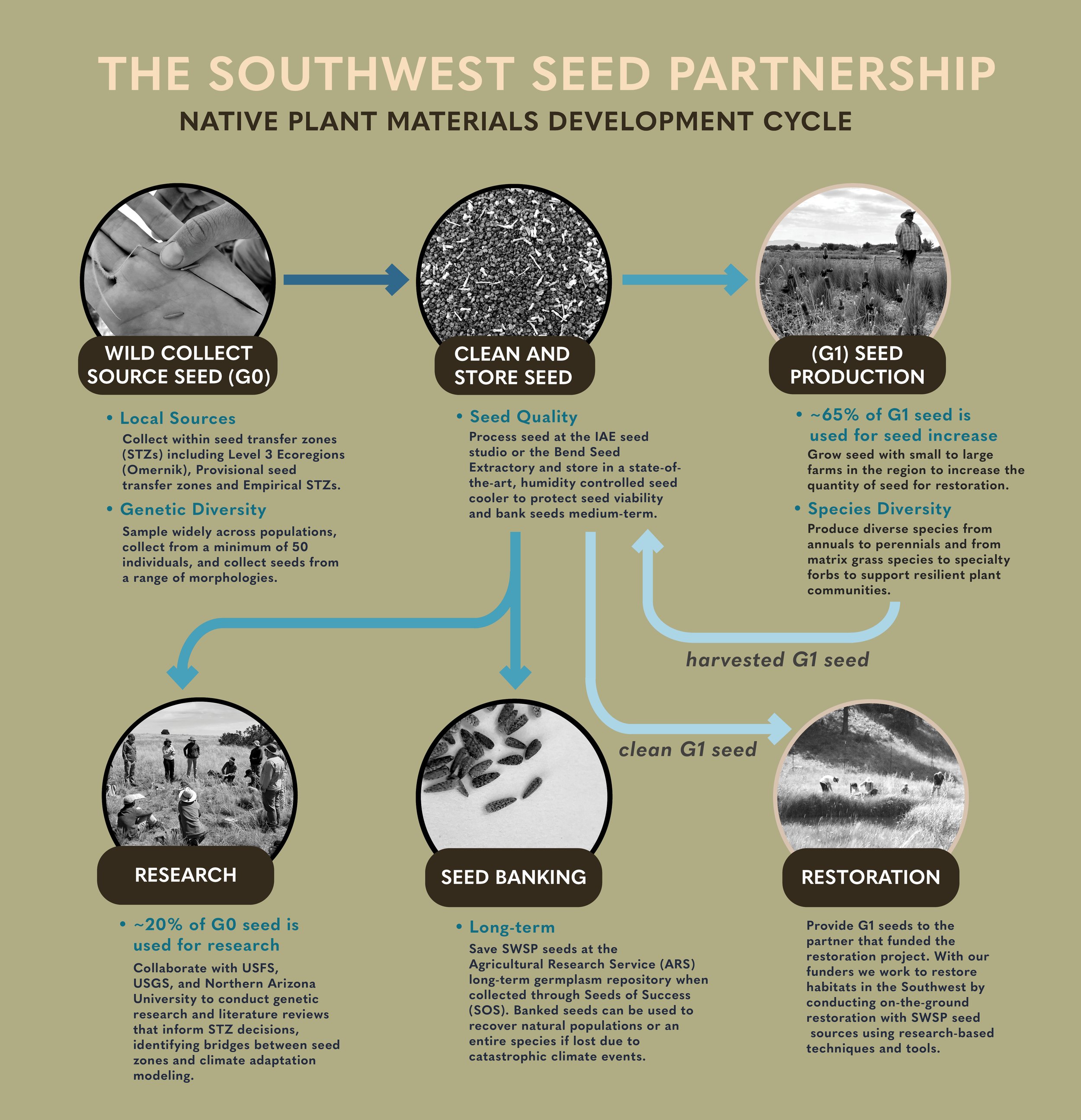 SWSP — THE SOUTHWEST SEED PARTNERSHIP| SWSP