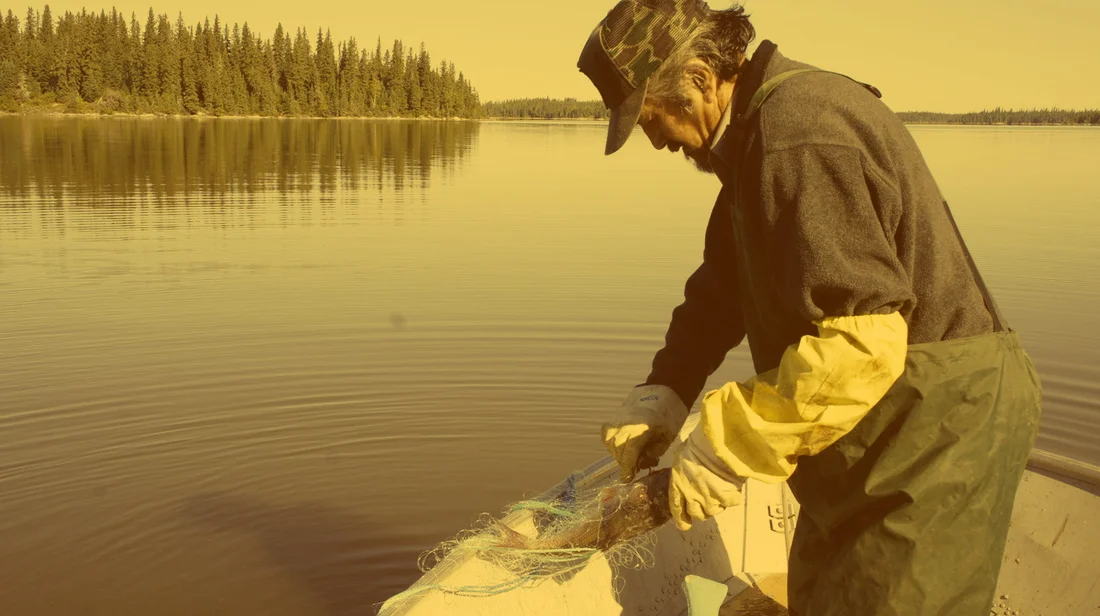 The Harbinger Foundation