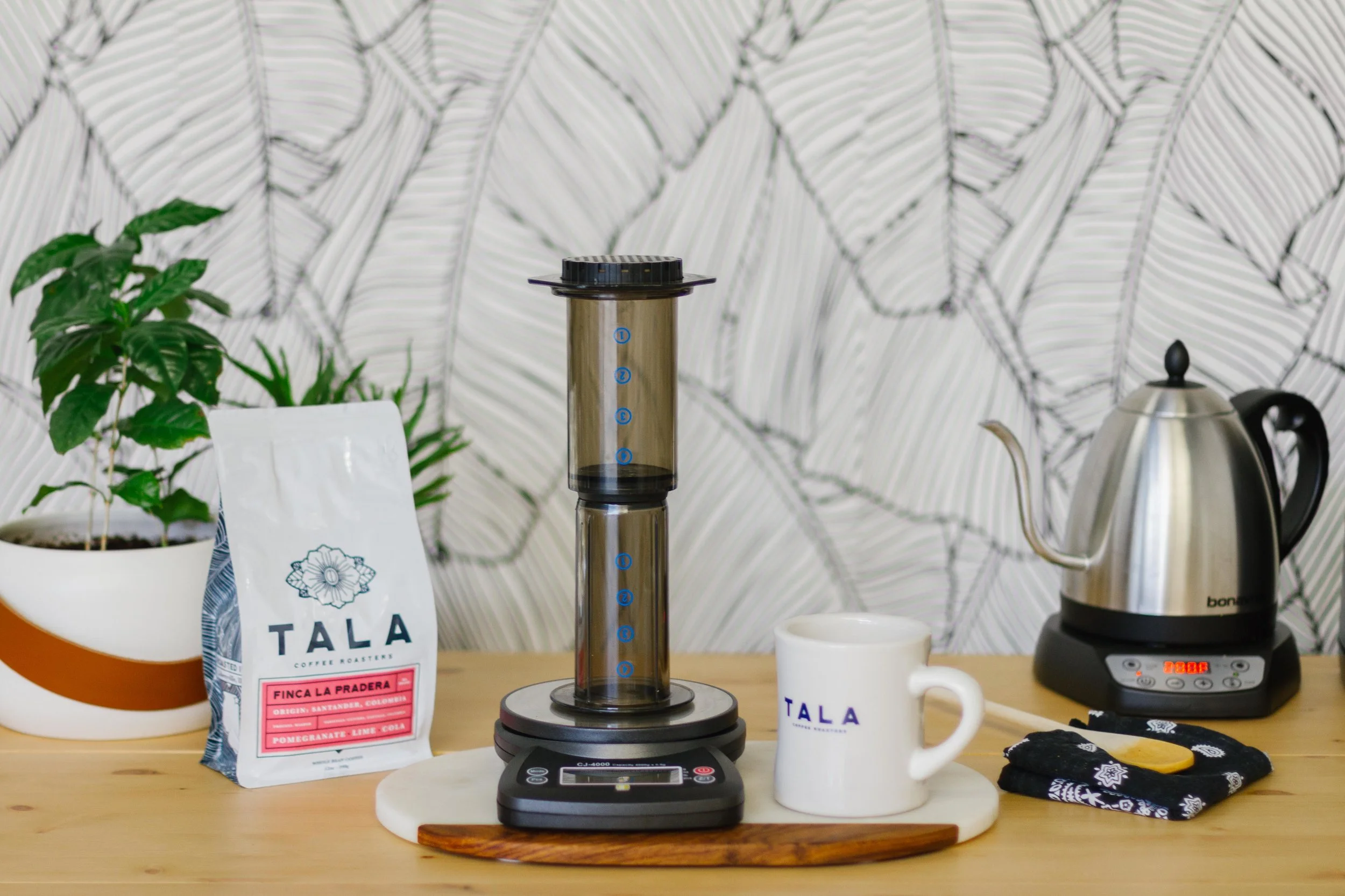 Tala Brew Guides — Tala Coffee Roasters