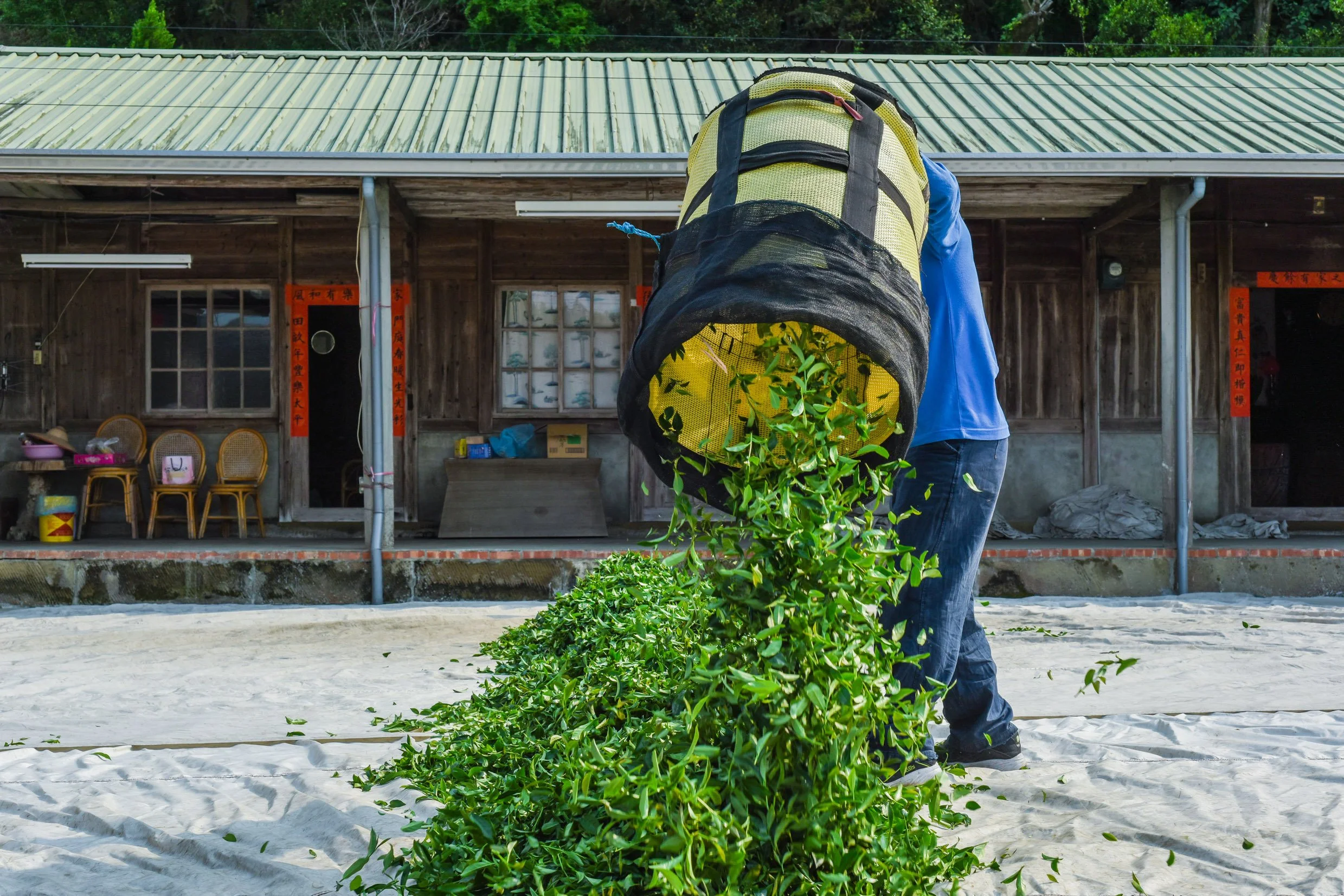 Trilliant Tea Industry — European Speciality Tea Association