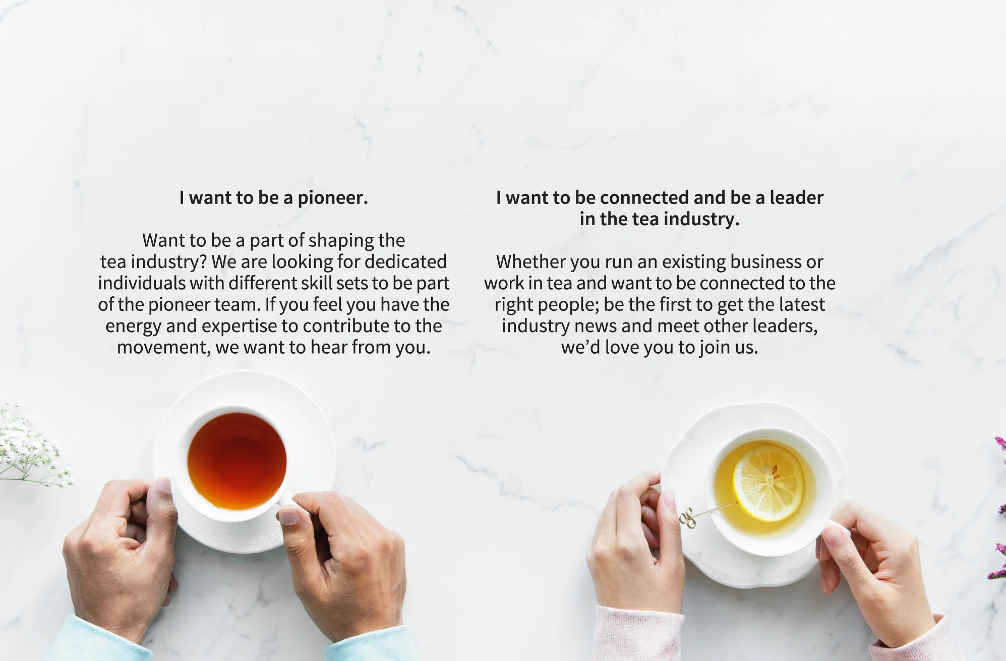 European Speciality Tea Association