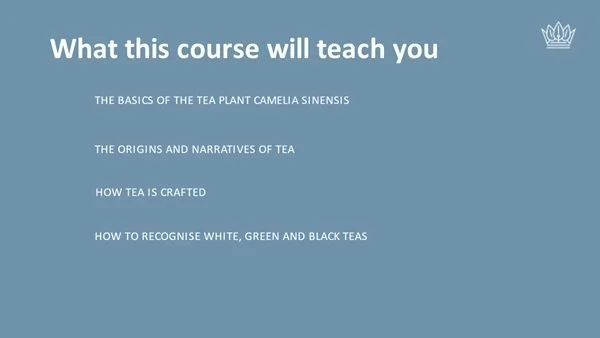 Tea Certification Programme — European Speciality Tea Association