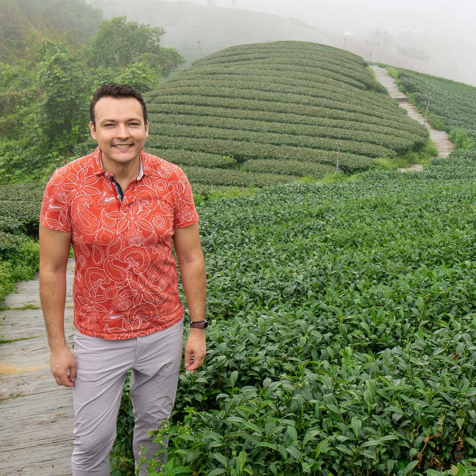 UK Chapter — European Speciality Tea Association