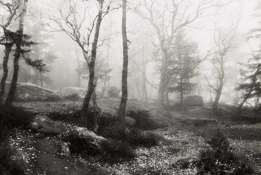 Portfolio — Dimitri de Larocque Latour