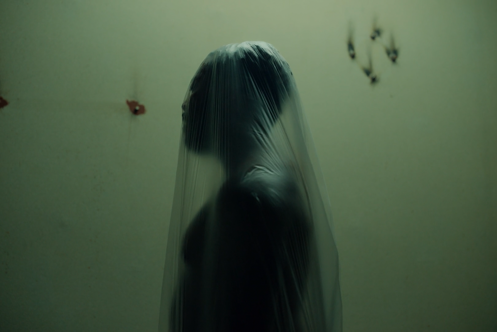 NOEL SCHOOLDERMAN COMMERCIALS - DIRECTOR OF PHOTOGRAPHY - ECHO ARTISTS — echo