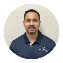 About us — Practivet