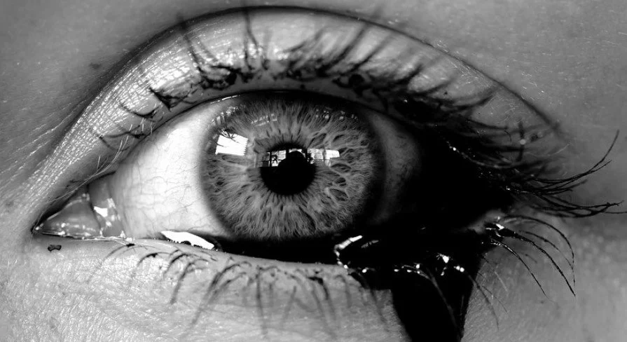 Behnaz Farahi — Brea Gallery