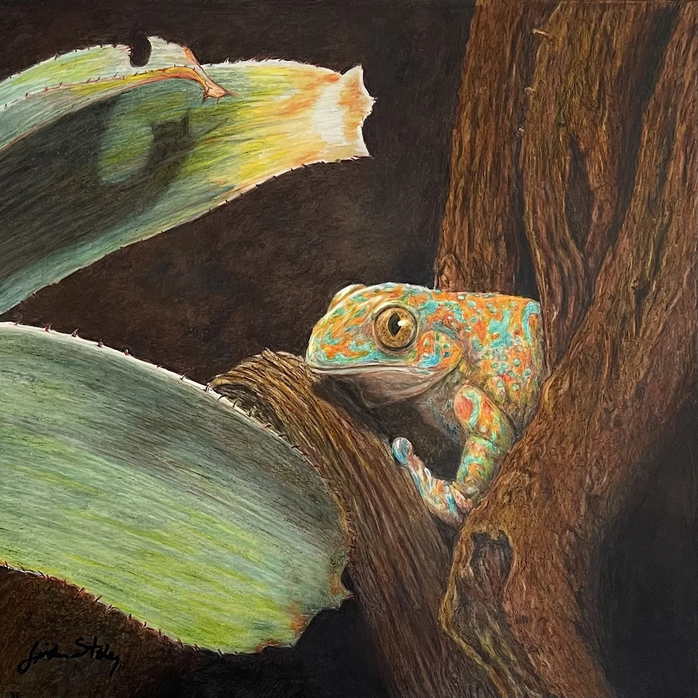Linda Stokey — Brea Gallery