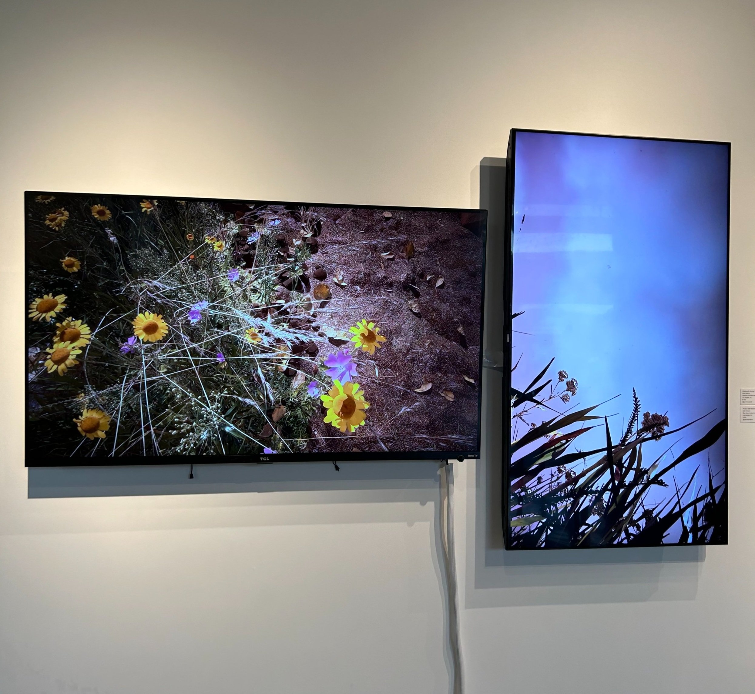 Kate Parsons — Brea Gallery