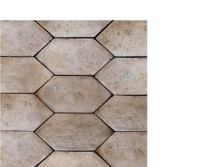 Levantine & Adama Terracotta — Statements Tile