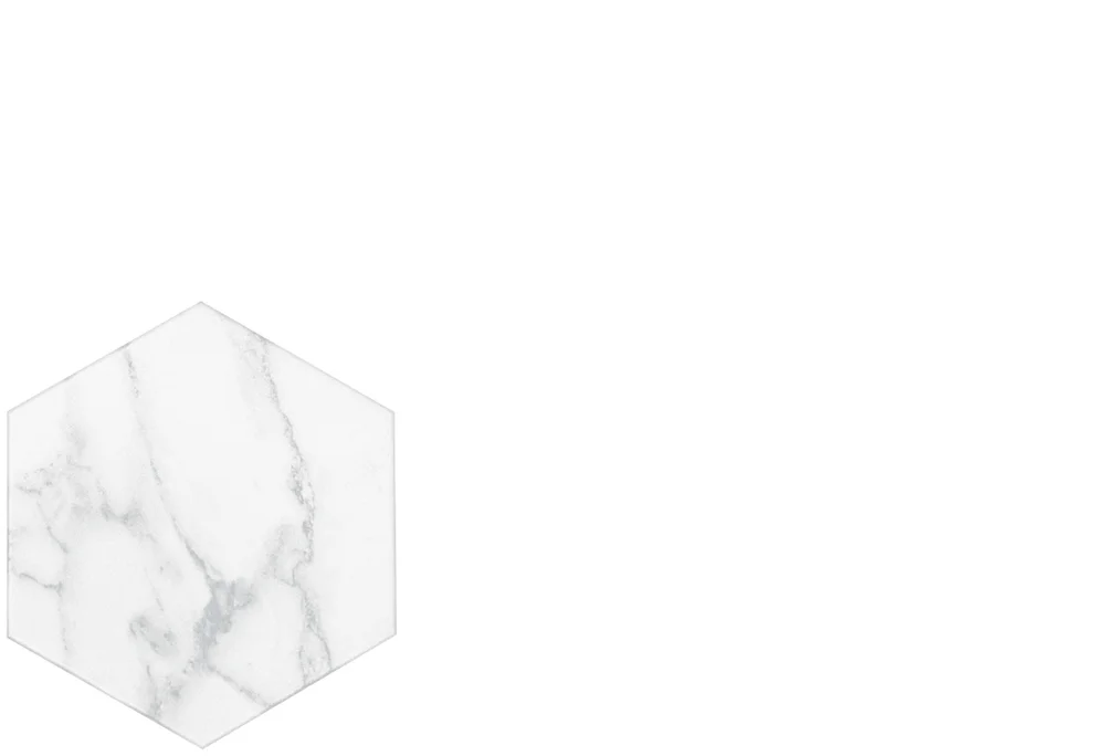Statuary Porcelain — Statements Tile