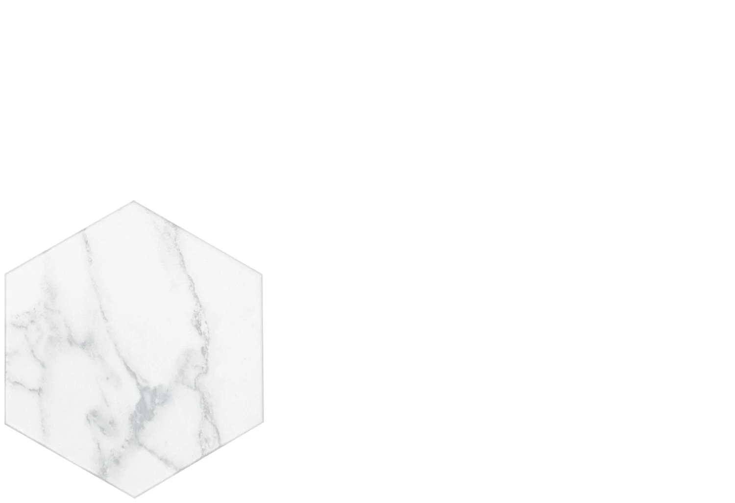 Statuary Porcelain — Statements Tile
