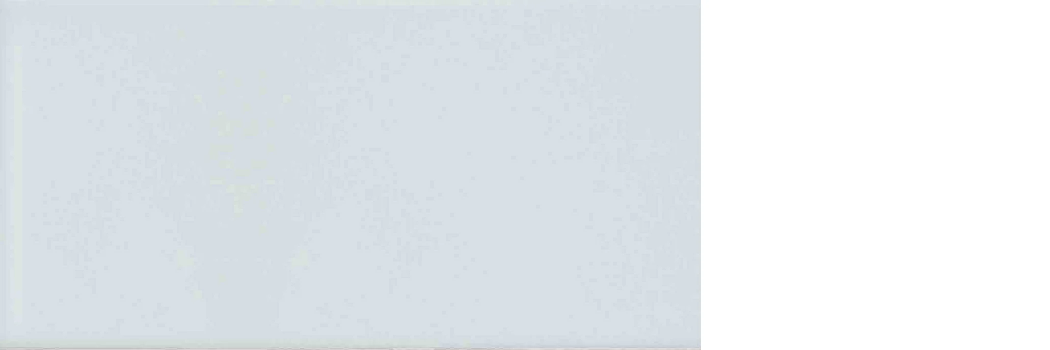 Essential Ceramic — Statements Tile