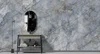 Level Porcelain Slab — Statements Tile