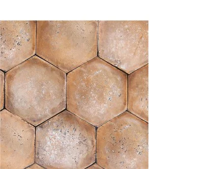 Levantine & Adama Terracotta — Statements Tile
