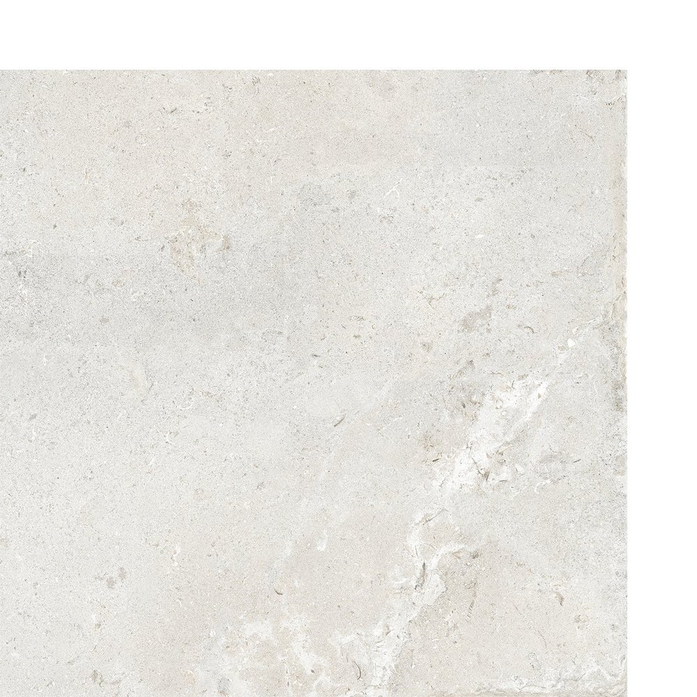 Signature Porcelain — Statements Tile