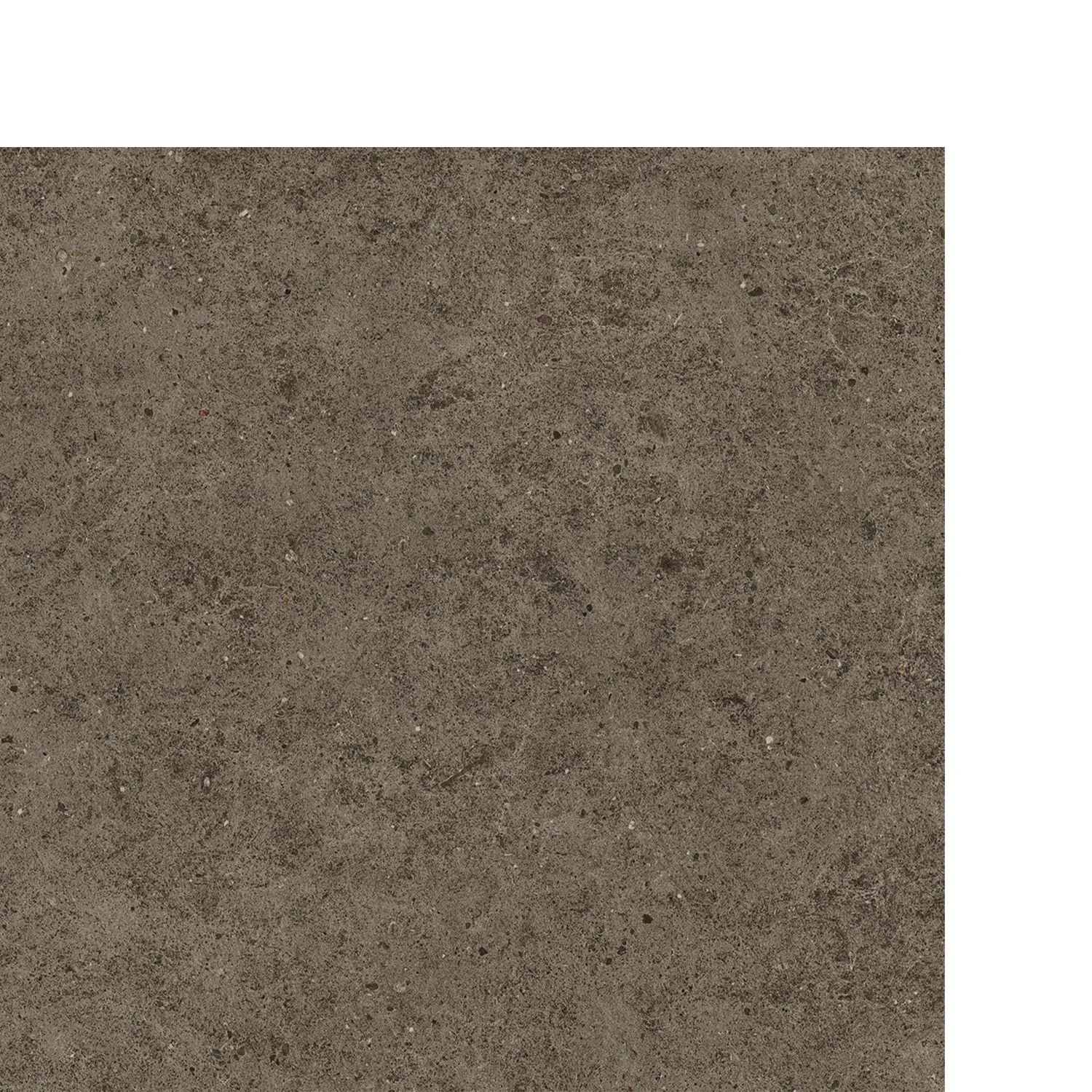 Boost Stone Porcelain — Statements Tile