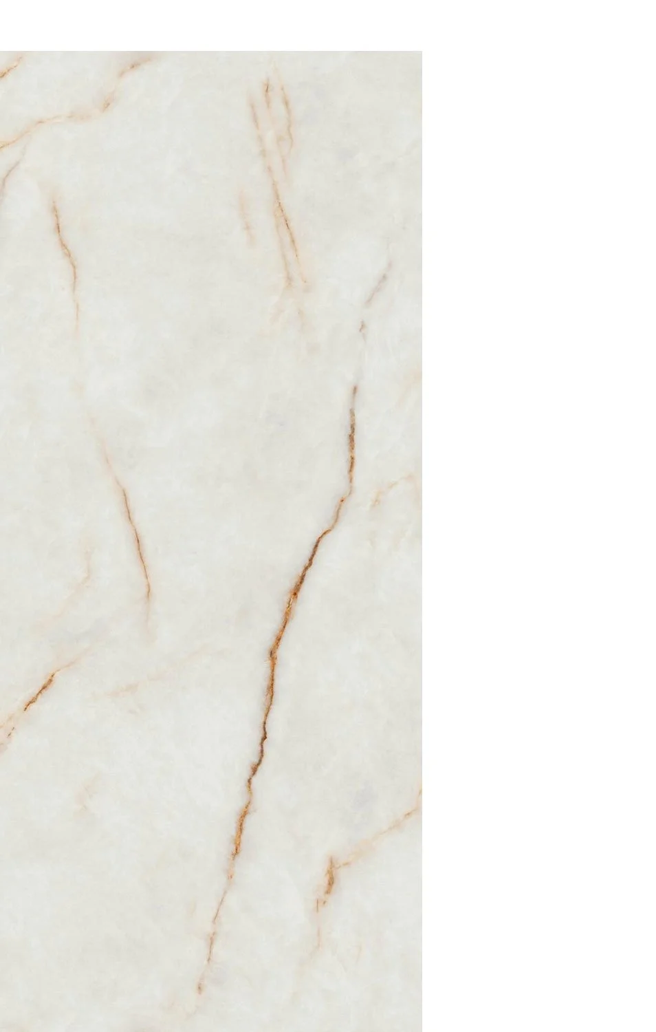 Marvel Diva Porcelain Slab — Statements Tile